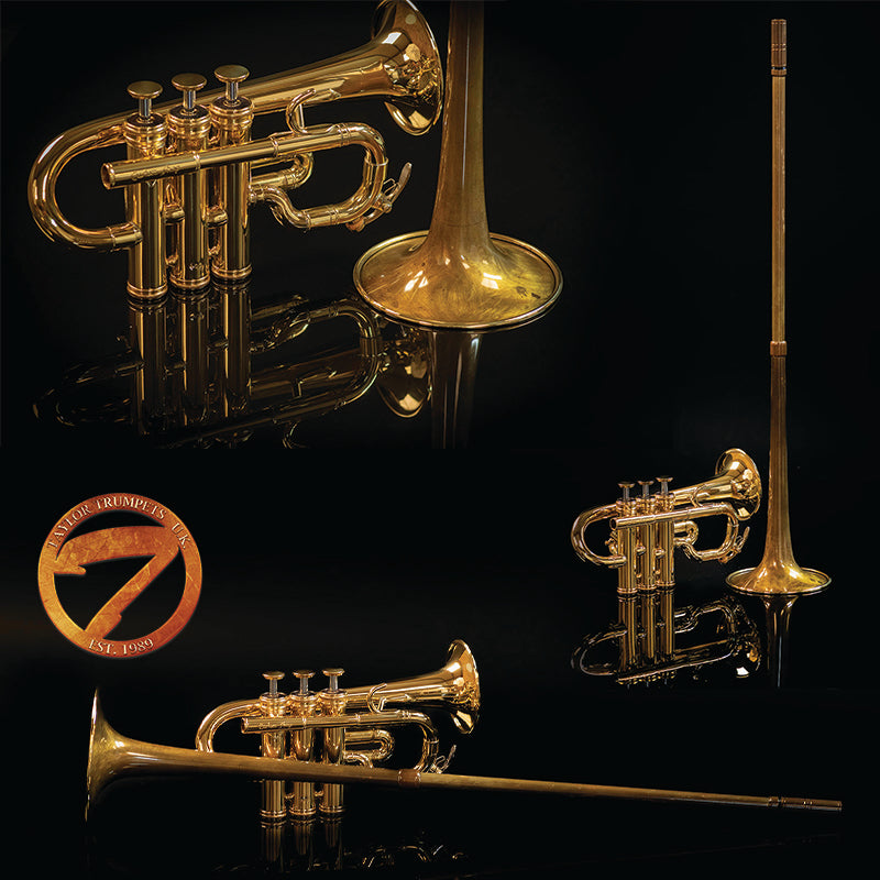 Taylor Piccolo Trumpet images (Dropbox) – Taylortrumpets