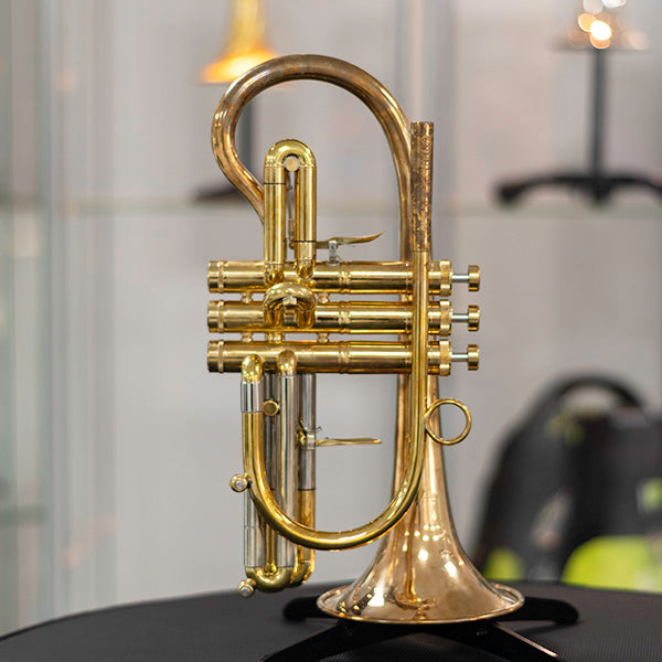 Orpheus – Taylortrumpets